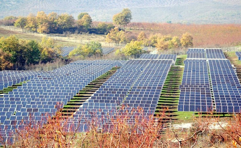Jak díky agrivoltaice sklidit co nejvíc plodin i elektřiny: vědci radí používat jednoosé ...